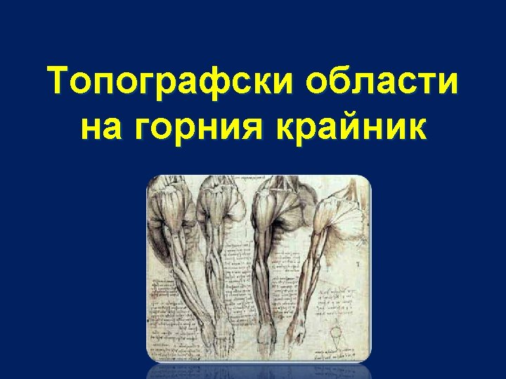 Regio deltoidea n Regio brachialis anterior et posterior