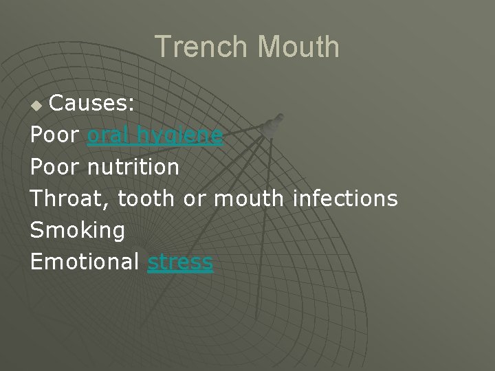 Trench Warfare Social Studies Grade 8 No Mans