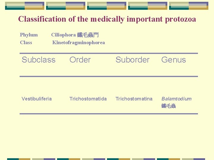 Protozoa Unicellular organisms Worldwide distribution From 1 m