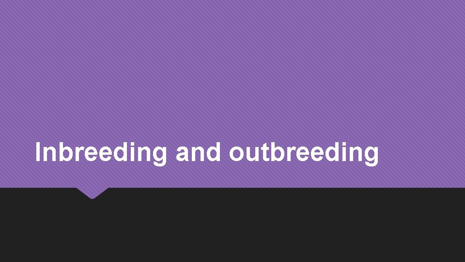 Inbreeding and outbreeding Inbreeding Breeding between closely related