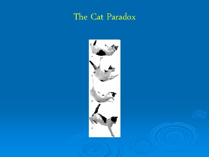 Throwing Jumping and Spinning John D Barrow Coin