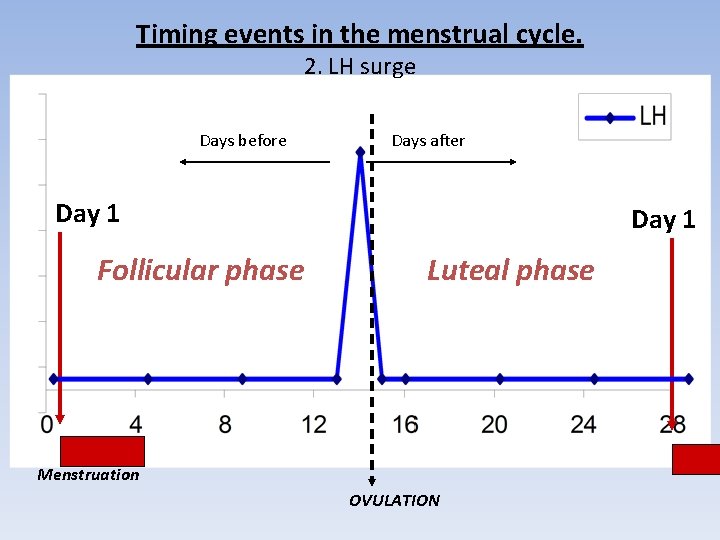 Menstruation Ovulation Dr Suresh Babu Chaduvula Professor Department