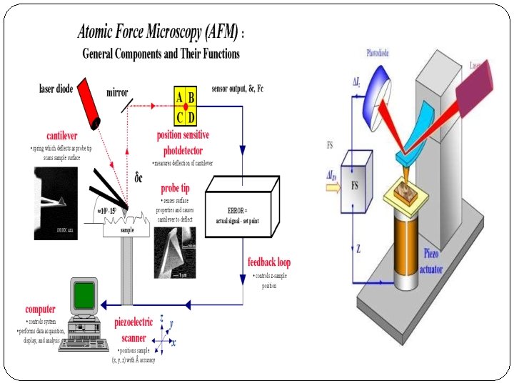 Atomic Force Microscopy Atomic force microscopy AFM is