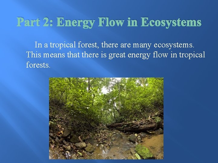TROPICAL FOREST By Nathan Cone Introduction I selected