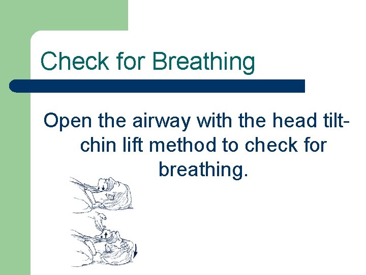 Key Principles of Basic Life Support for Adults