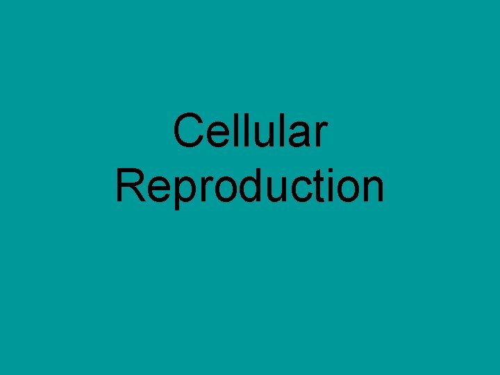 Cellular Reproduction Mitosis A process of cell division