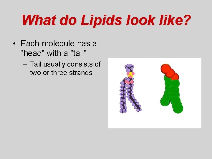 WHAT ARE LIPIDS Presentation prepared by Alice F