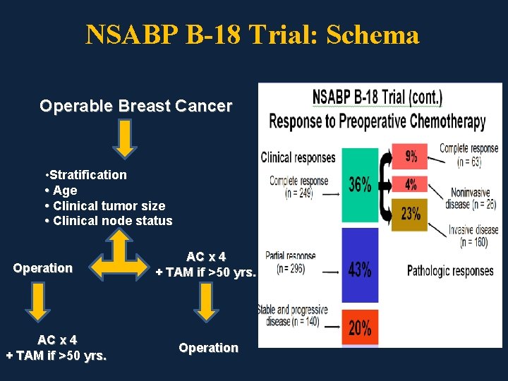 Neoadjuvant Therapy in Her2 Positive Breast Cancer Dr