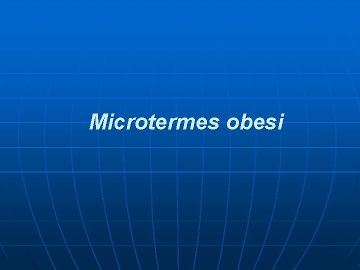 Microtermes obesi n n Basic Biology Termites are