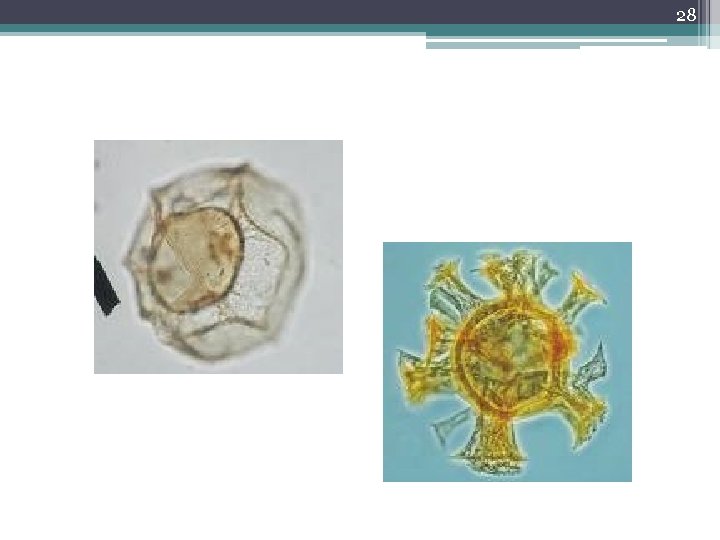 1 Stratigraphy The study of strata layers of