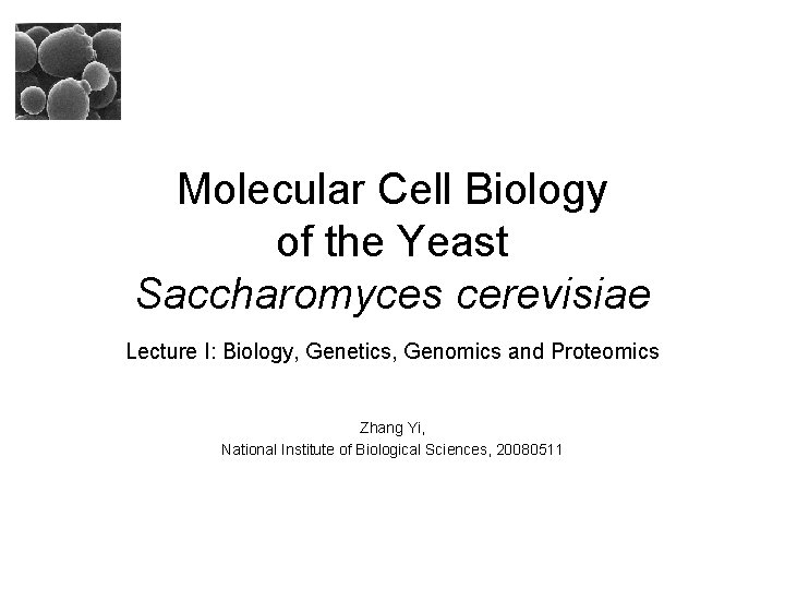 Molecular Cell Biology of the Yeast Saccharomyces cerevisiae