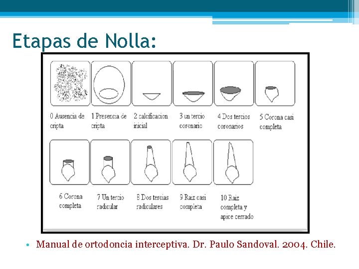 Facultad de Odontologa OSP Grupo 2 B Etapas
