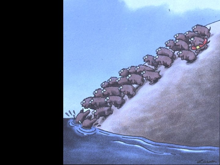 Animal Social Behavior Animal Social Behavior levels of