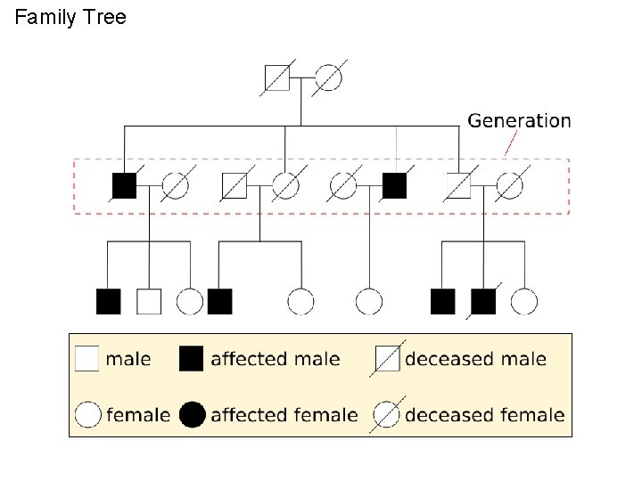 Genetic Screening and Counselling Pedigree charts family tree