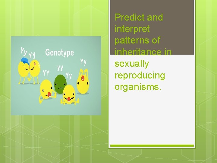 Predict and interpret patterns of inheritance in sexually
