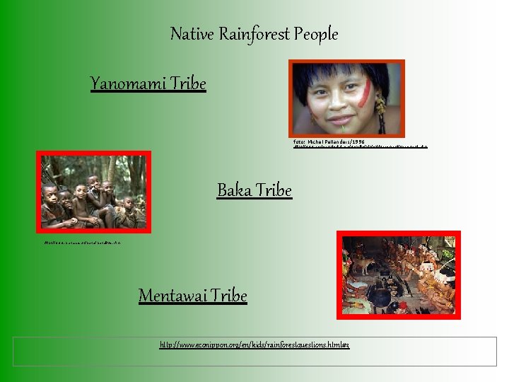 Native Rainforest People Yanomami Tribe foto Michel Pellanders1996