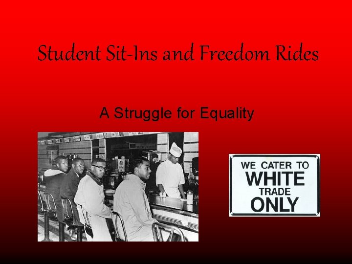 Student SitIns and Freedom Rides A Struggle for