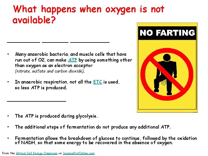 About Science Prof Online Power Point Resources Science
