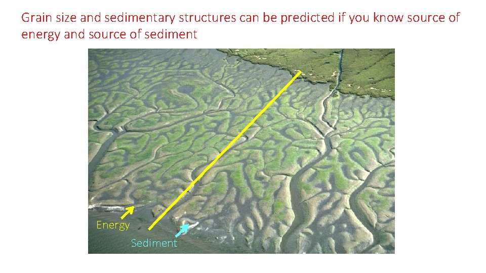 Tidal Flat Environments Tides are a complex product