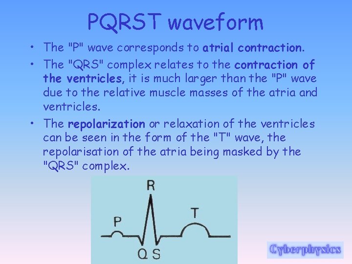 Medical Physics Option Notes ECG electrocardiogram ECG The
