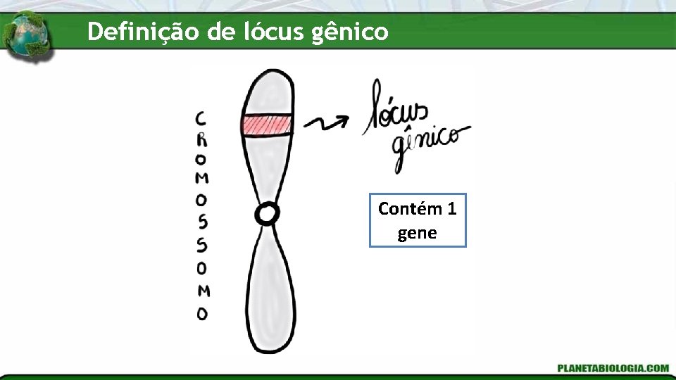 Introduo Gentica O que vamos ver nessa aula