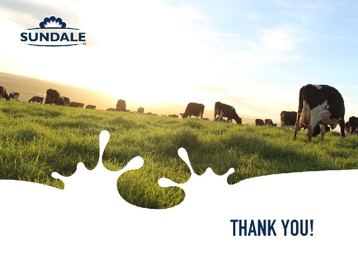 Sundale Free Range Dairy The largest private dairy