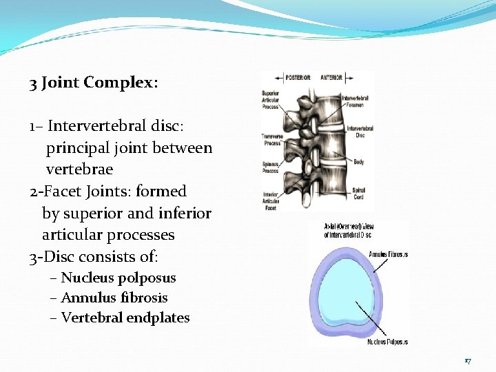 Physical Examination of the Spesific Joints Assoc Prof
