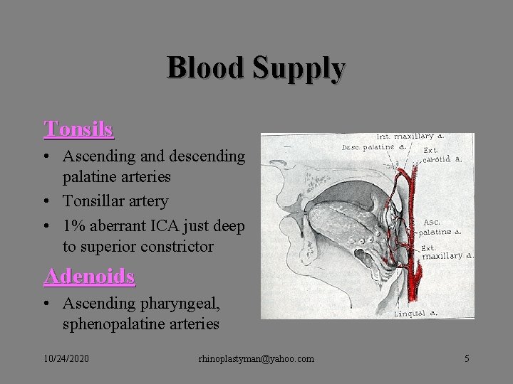 Tonsillectomy and Adenoidectomy 1 History Celsus 50 A