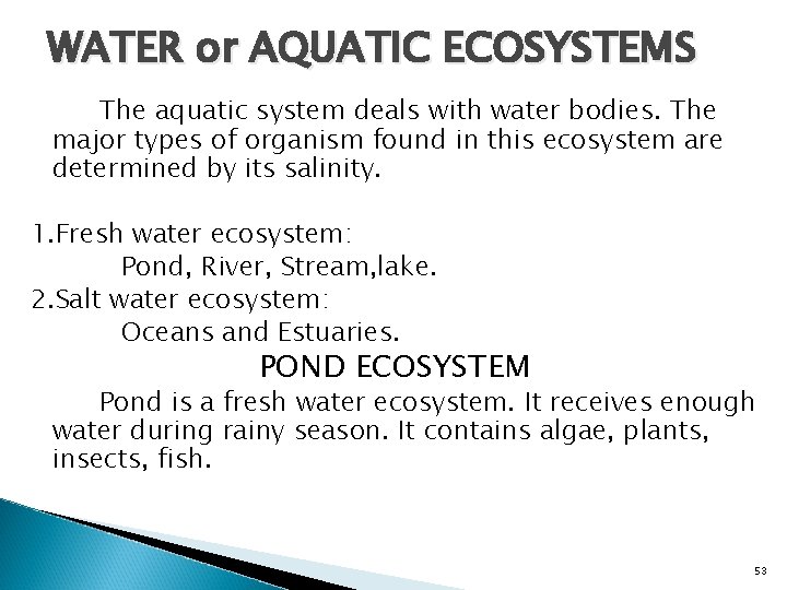 ECOSYSTEM AND BIODIVERSITY 1 ECO SYSTEM A group
