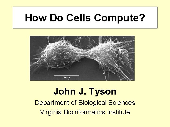 How Do Cells Compute John J Tyson Department