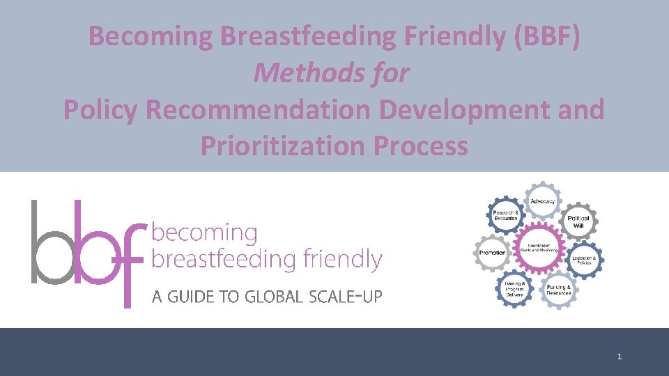 Becoming Breastfeeding Friendly BBF Methods for Policy Recommendation