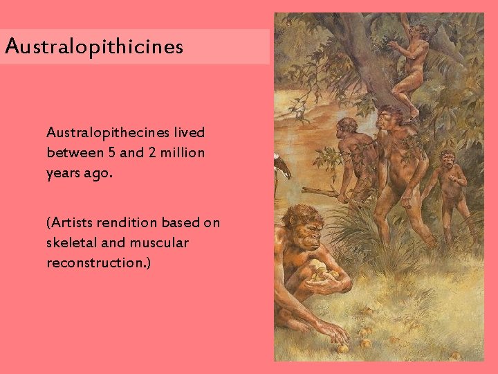 The Biology and Origins of Language Part 2