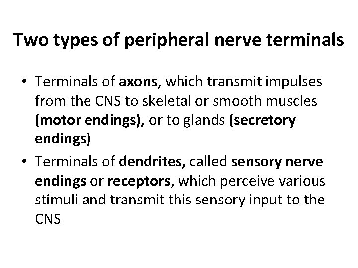 Special senses Two types of peripheral nerve terminals