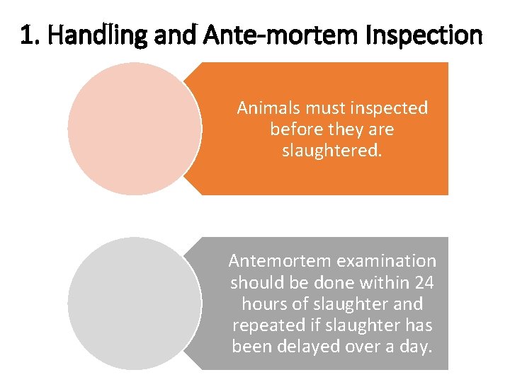 The Slaughter of Animals The methods used to
