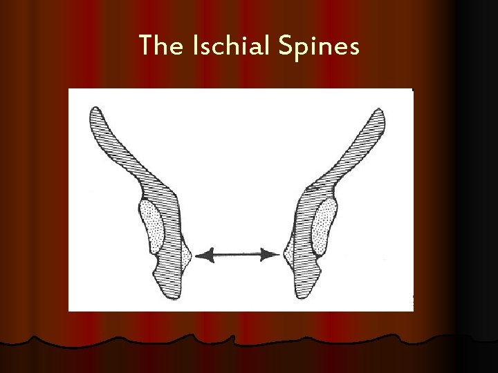 Anatomy and Physiology of Pregnancy Lectures 1 N