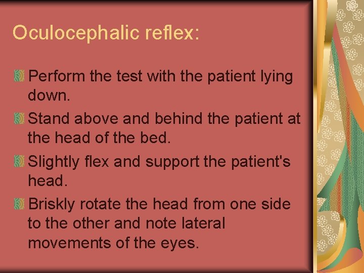 Cranial nerves Facial nerve VII Anatomy The motor