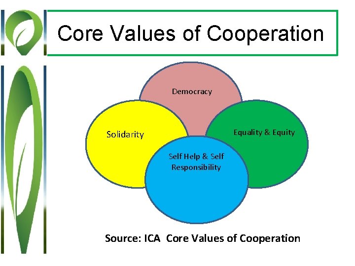 GENERAL CONCEPTS AND PRINCIPLES OF COOPERATIVES Coop 002