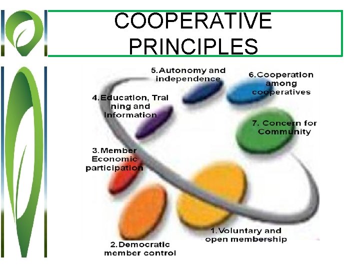 GENERAL CONCEPTS AND PRINCIPLES OF COOPERATIVES Coop 002