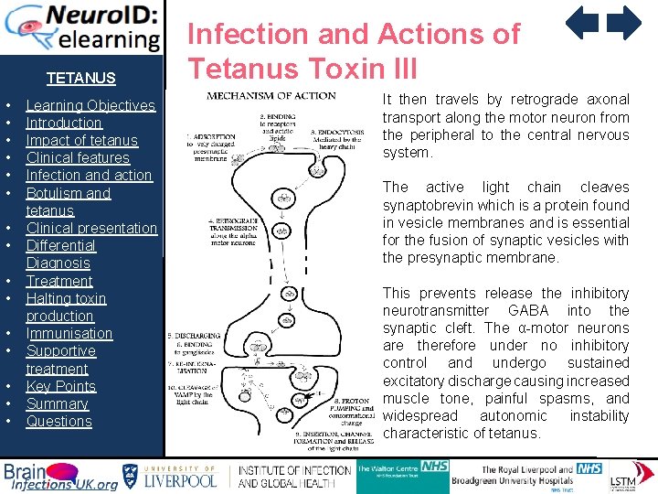 TETANUS Learning Objectives Introduction Impact of tetanus Clinical