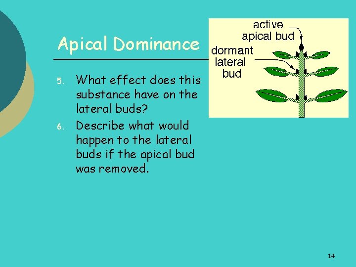 Higher Biology Hormonal Control of Growth in Plants