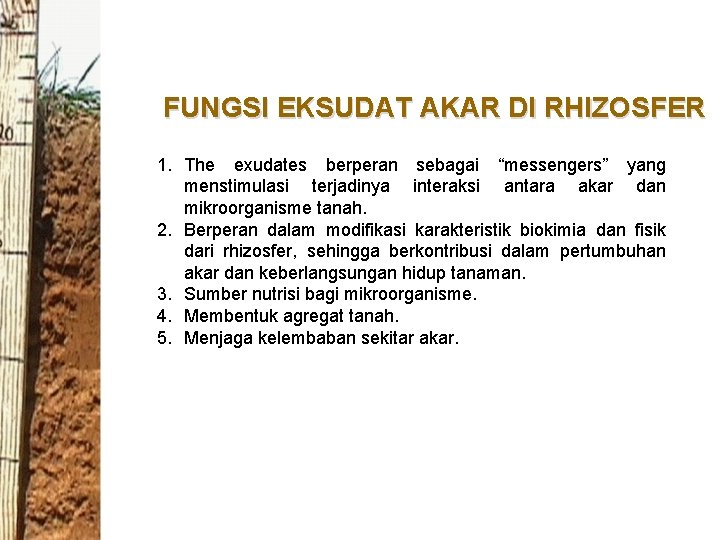 MIKROBA ANTAGONIS SEBAGAI AGEN HAYATI PENGENDALI PENYAKIT TANAMAN