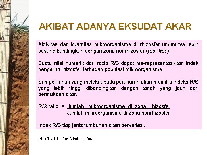 MIKROBA ANTAGONIS SEBAGAI AGEN HAYATI PENGENDALI PENYAKIT TANAMAN