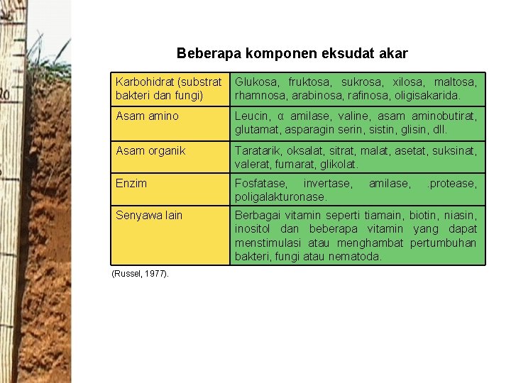 MIKROBA ANTAGONIS SEBAGAI AGEN HAYATI PENGENDALI PENYAKIT TANAMAN