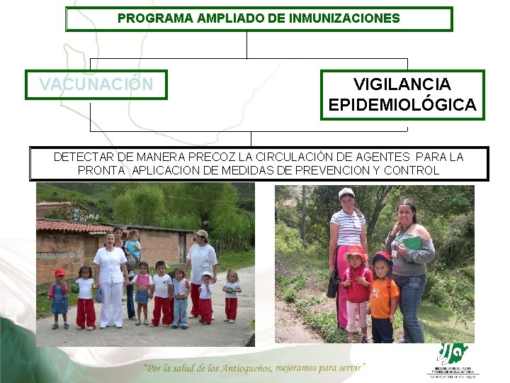PROGRAMA AMPLIADO DE INMUNIZACIONES EVALUACION DE LA ESTRATEGIA