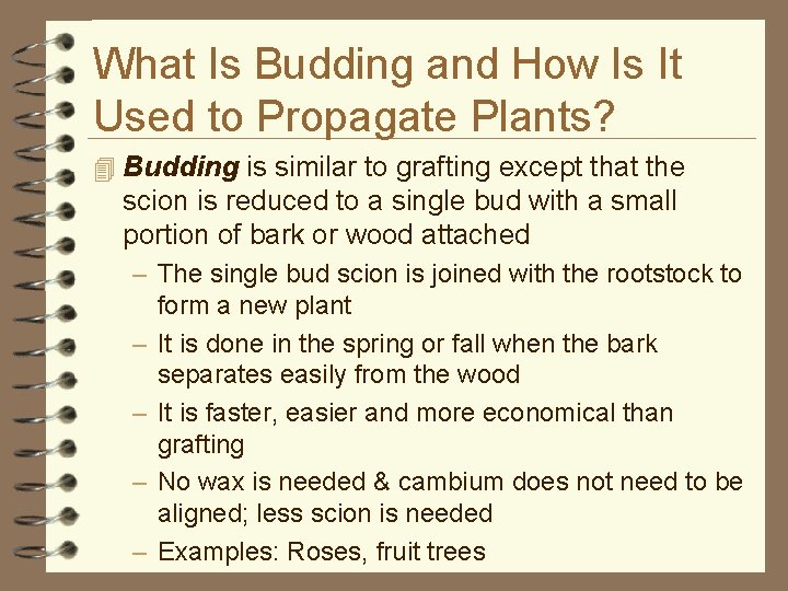 Lesson 5 Propagating Plants by Grafting and Budding