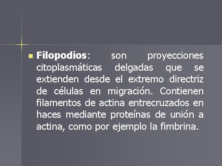 TRANSFORMACION EPITELIOMESENQUIMTICA DURANTE EL DESARROLLO EMBRIONARIO ...