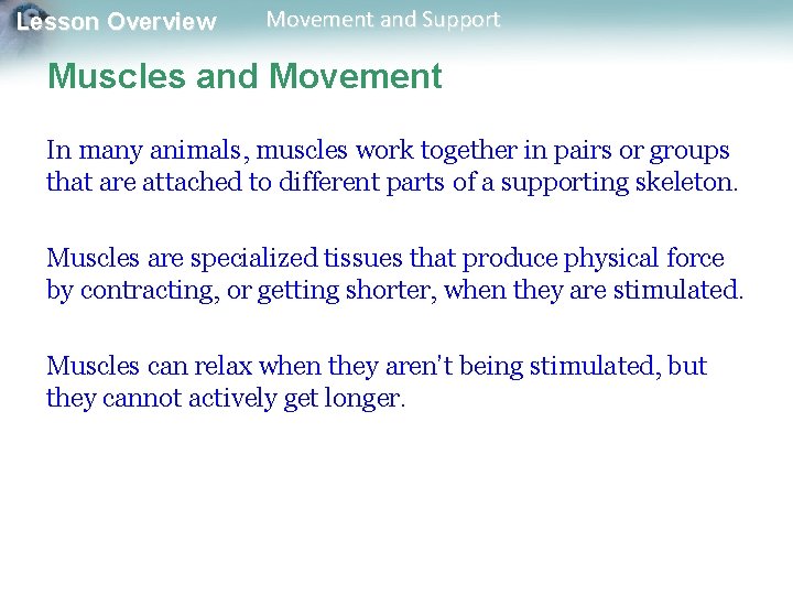 Lesson Overview Movement and Support Lesson Overview 28