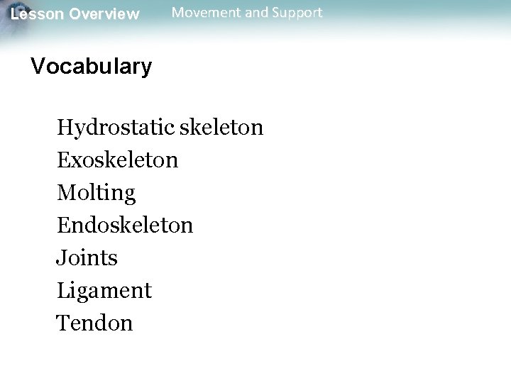 Lesson Overview Movement and Support Lesson Overview 28