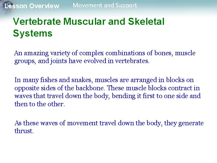 Lesson Overview Movement and Support Lesson Overview 28