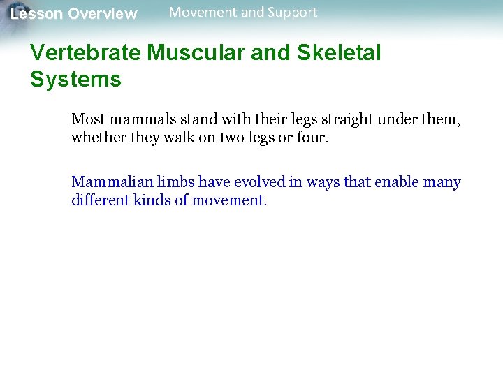 Lesson Overview Movement and Support Lesson Overview 28